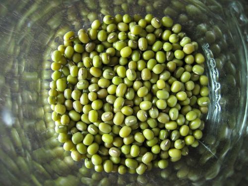 How Cook The Best Ginataang Mais Recipe: Corn in Coconut Milk | Eat ...