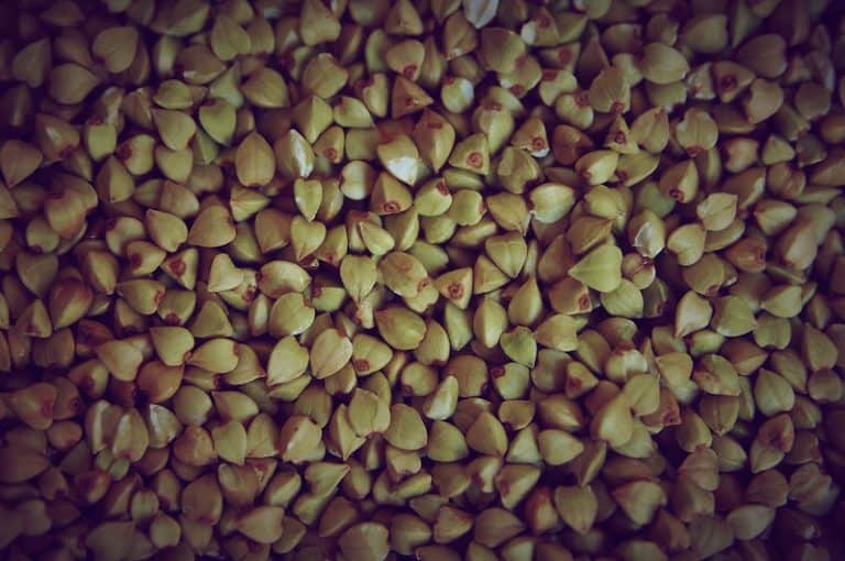 How Cook The Best Ginataang Mais Recipe: Corn in Coconut Milk | Eat ...